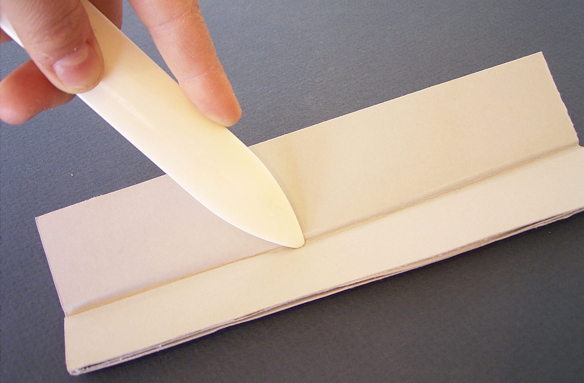 Conservation Materials - Endangered Heritage